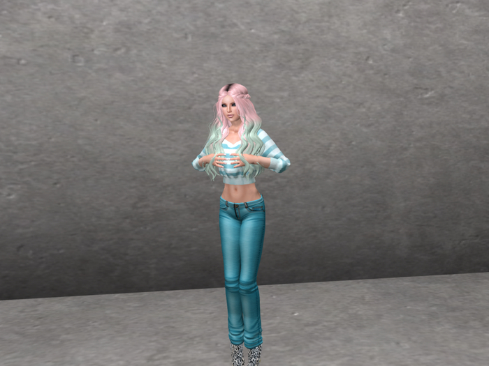 Second Life Marketplace Covering Privates 2